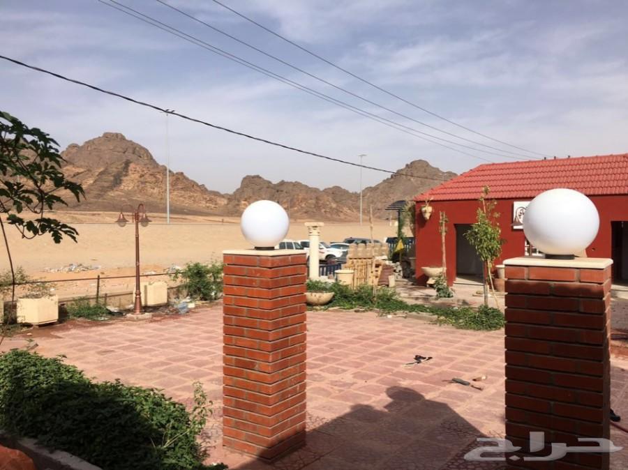 حراج العقار مطعم وكافيه وتصميم تراثي في مدينة حايل للبيع